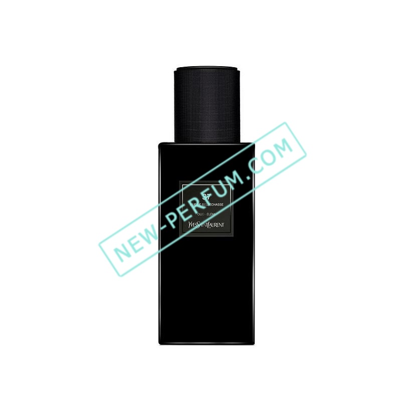 YSL 37 Rue de Bellechasse | New Perfum